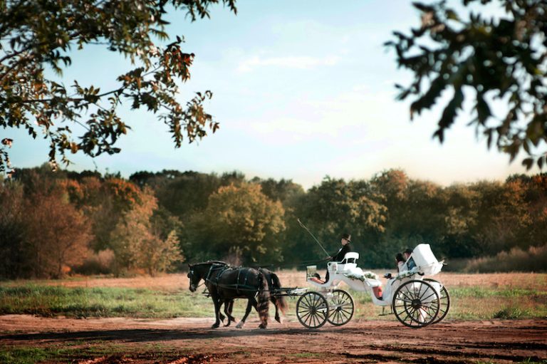 Get Hitched at Silver Spur Resort: 5 Rustic Wedding Ideas You'll Love ...